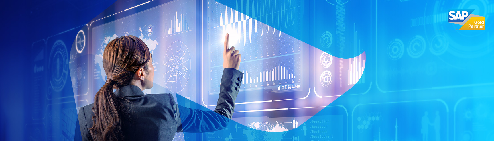 SAP Analytics | Data Reporting and Analysis | MOURI Tech