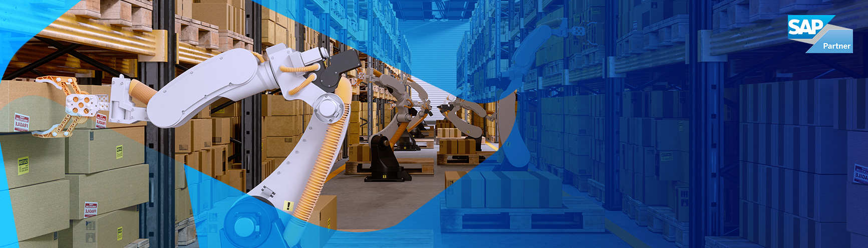 SAP EWM | Smart Warehouse Operation & Management | MOURI Tech