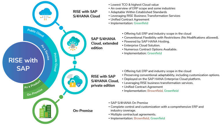 RISE with SAP ERP Solutions | MOURI Tech